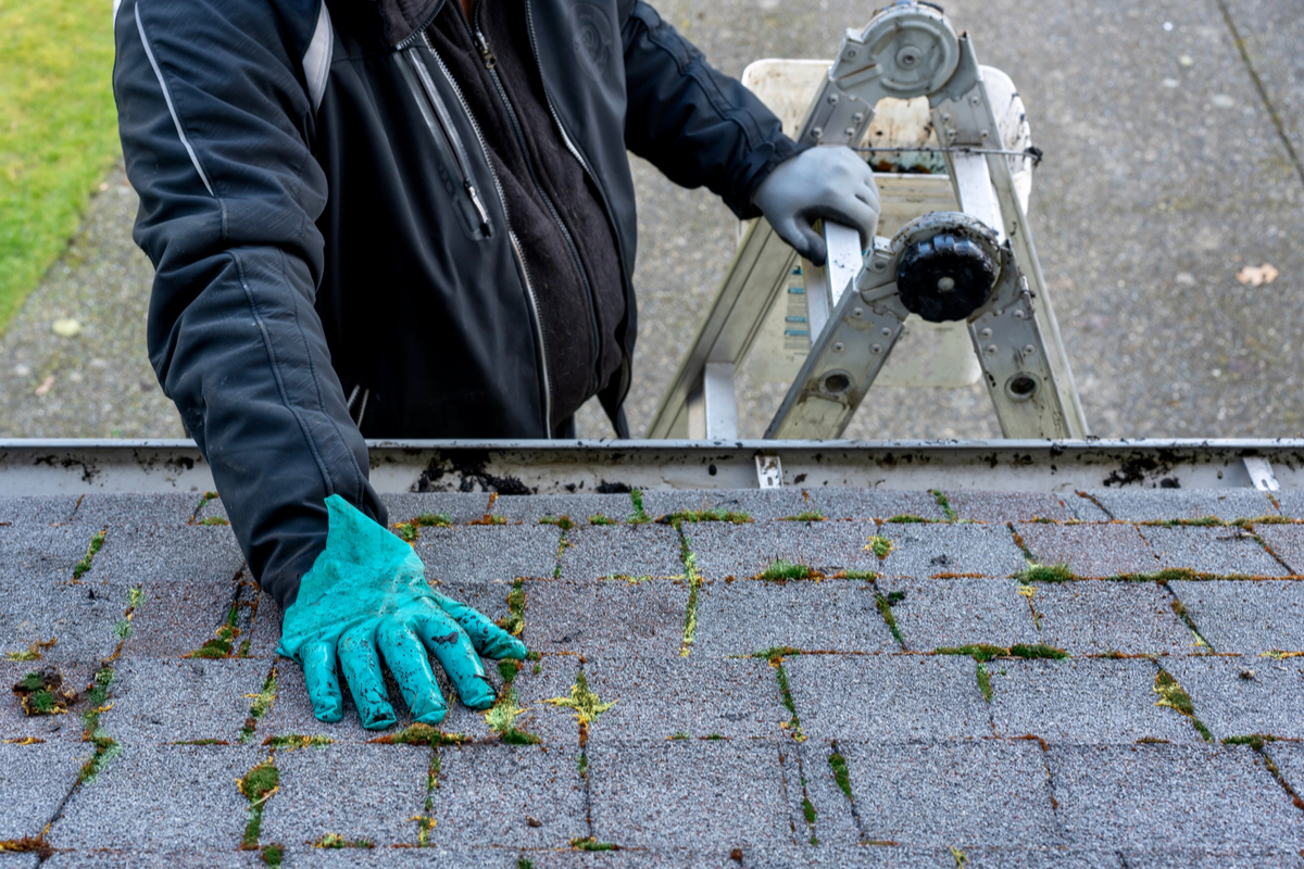 The Importance Of Roof Maintenance Mitchell Roofing Company LLC the-importance-of-roof-maintenance-mitchell-roofing-company-llc